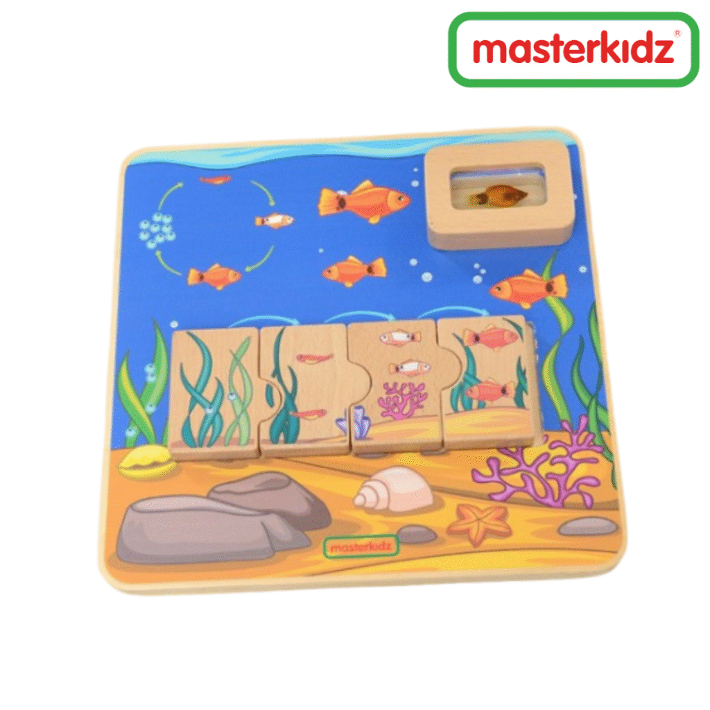 Masterkidz - Fish Life Cycle Handy Learning Board - AKiddy.com