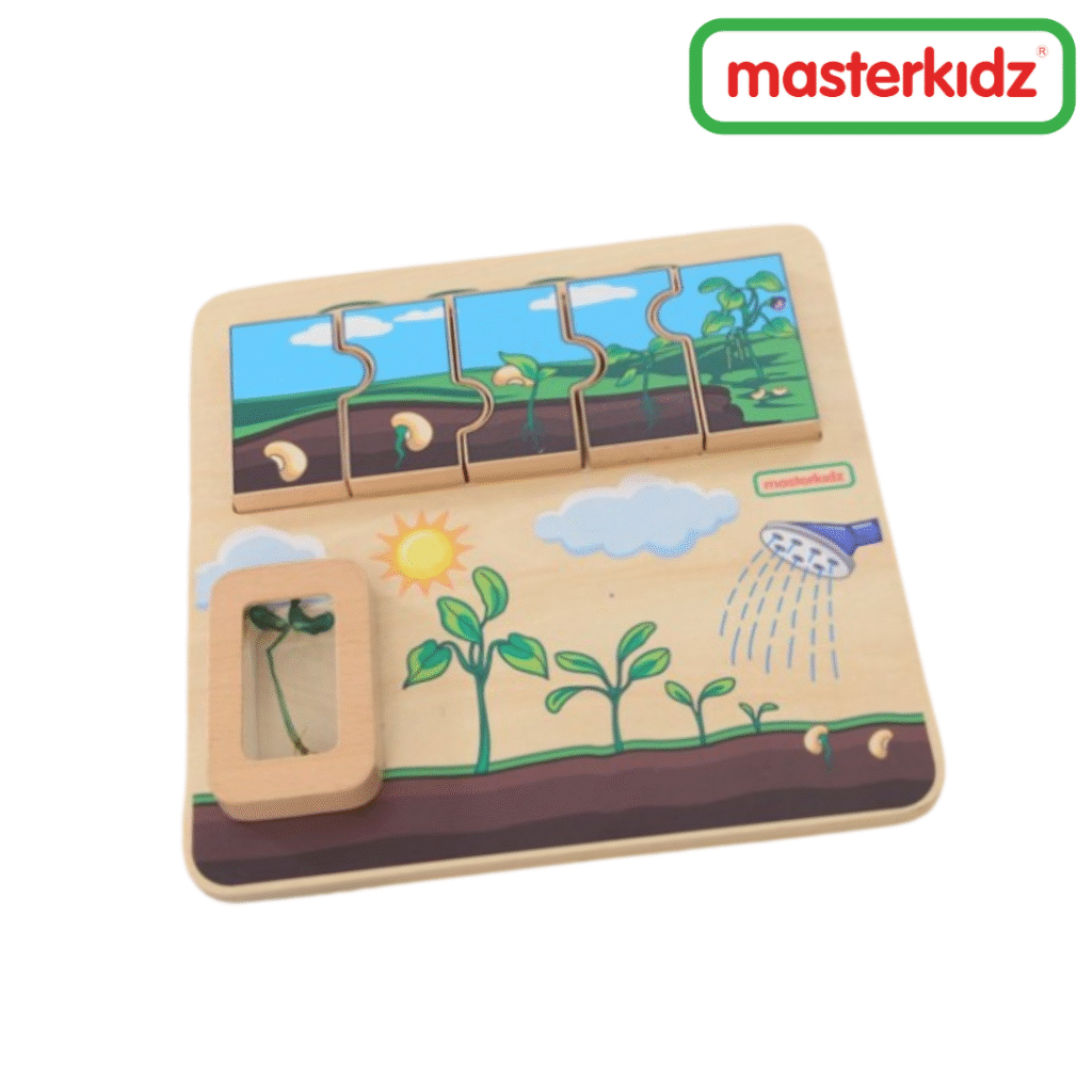 Masterkidz - Plant Life Cycle Handy Learning Board - AKiddy.com